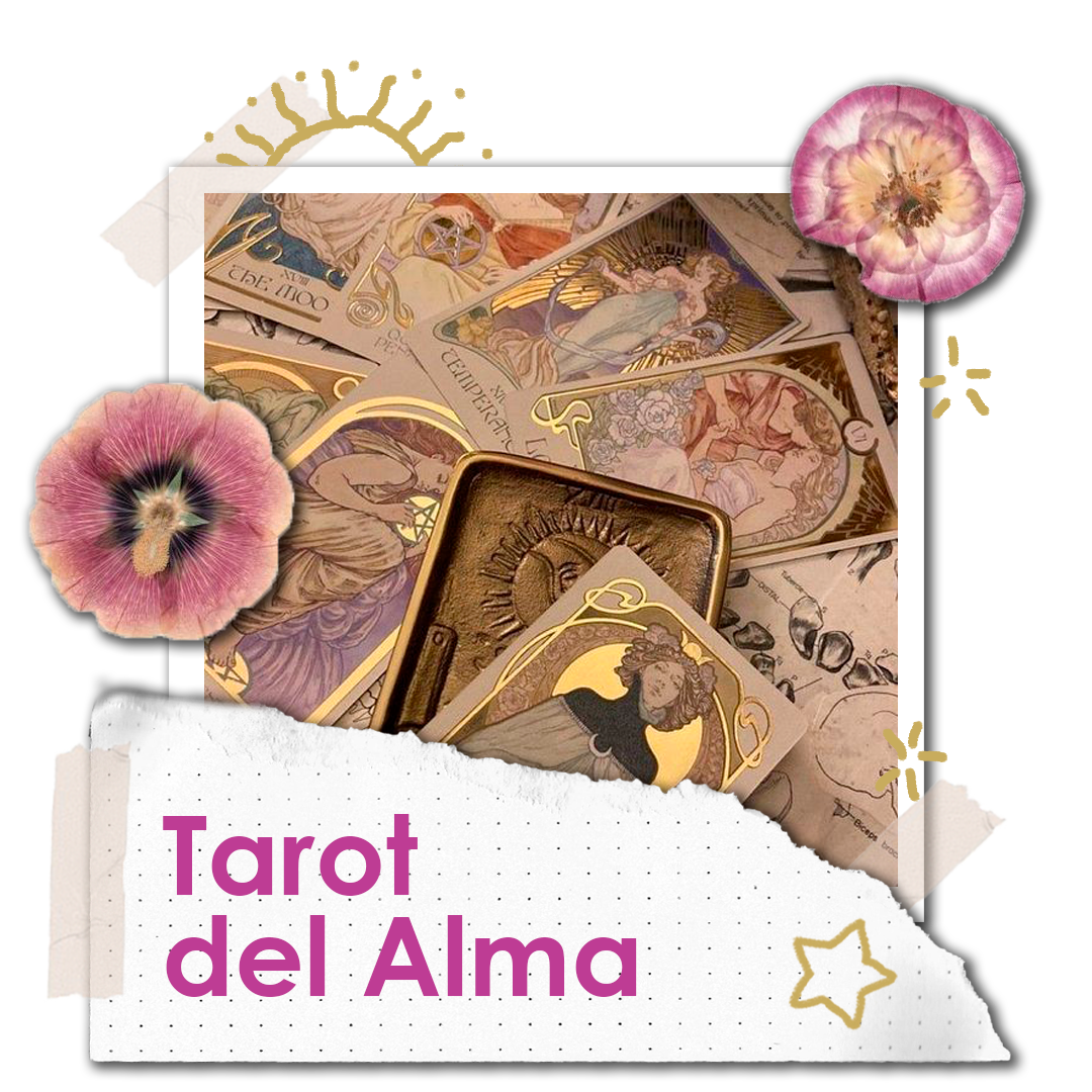 Todos los cursos - academia.omhamx.com